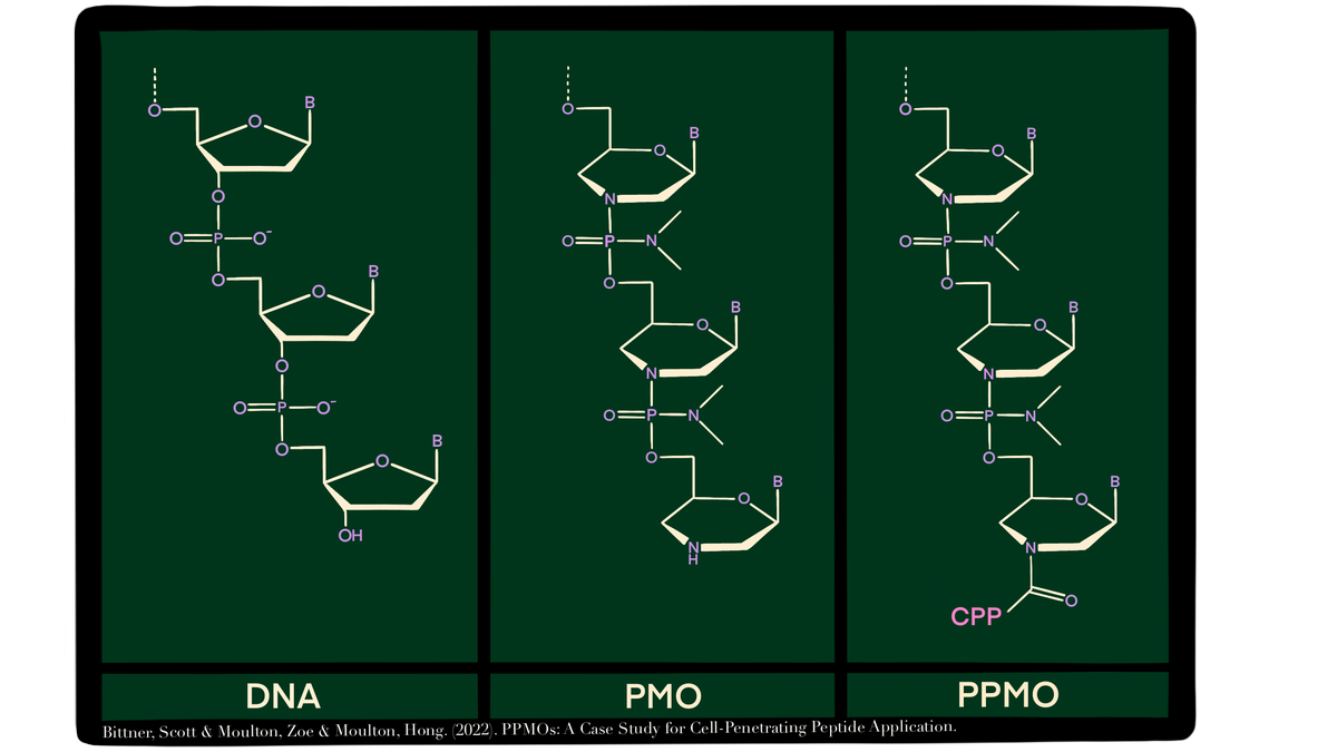 Moulton Research Group